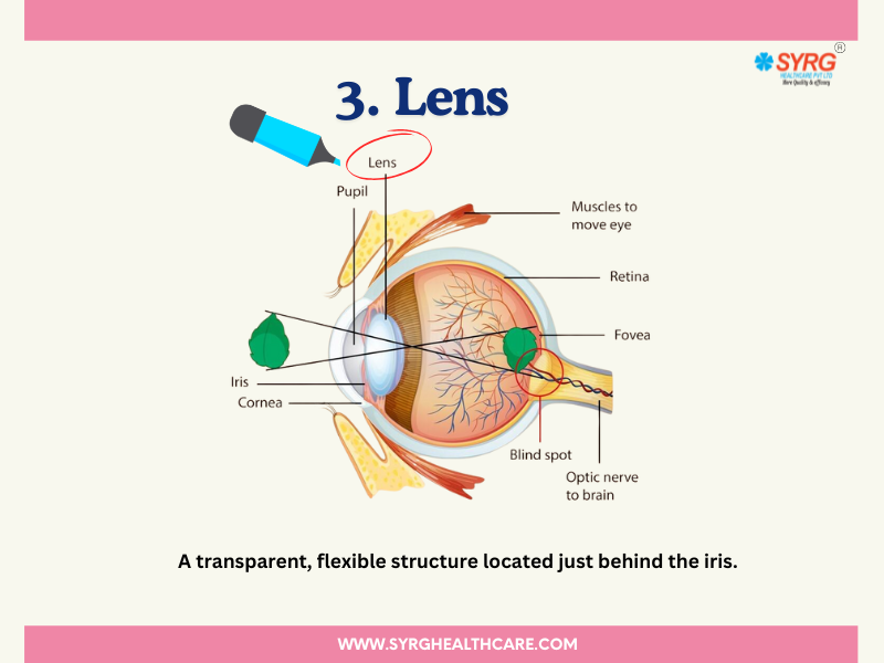 SYRG HEALTHCARE PVT.LTD.